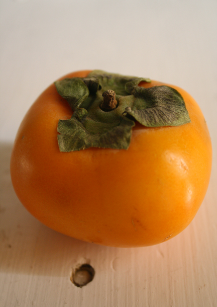 LE FESTIN DE DOUDETTE | since 2009